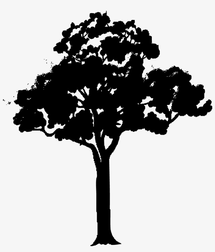 Fresh Gallery Black Tree Vector Png - Cartoon Tree With Branches ...