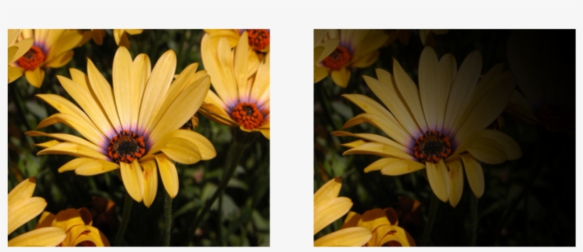 Availability - Art - 972x396 PNG Download - PNGkit