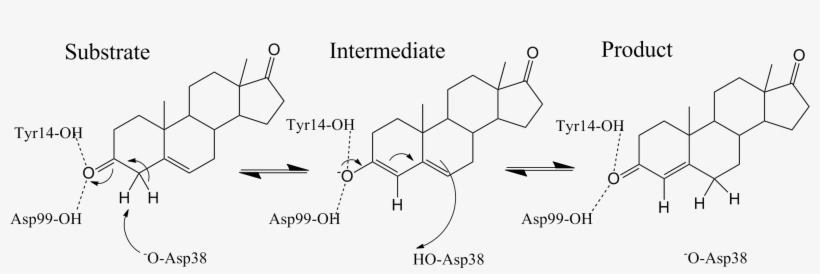 Ksi Mechanism - Steroid Delta-isomerase - 2045x608 PNG Download - PNGkit