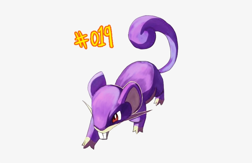 Rattata Par - Cartoon - 402x522 PNG Download - PNGkit