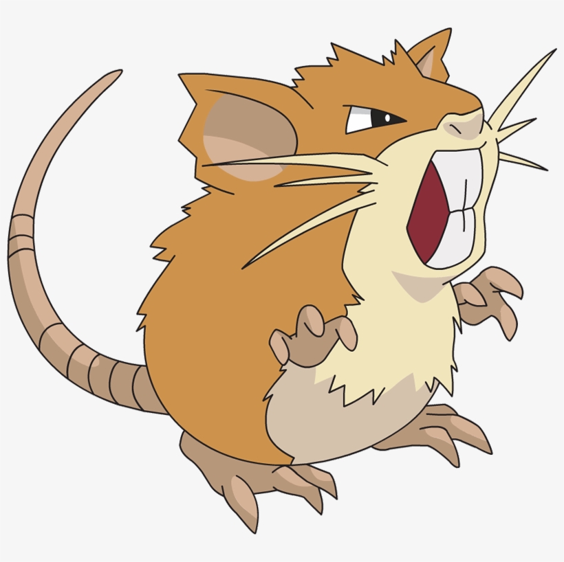 Cxh0-sgweaajegr - Pokemon Raticate - 800x738 PNG Download - PNGkit