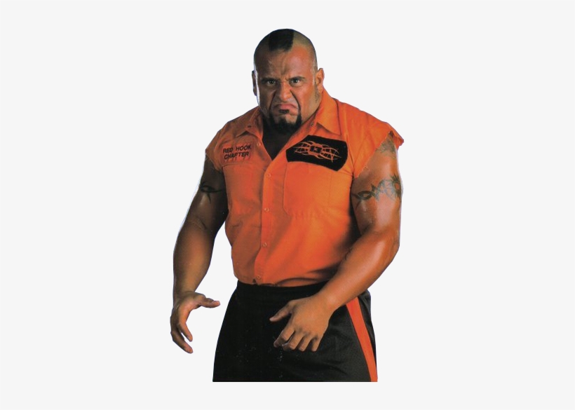 Tazz - Tazz Wwe - 335x505 PNG Download - PNGkit