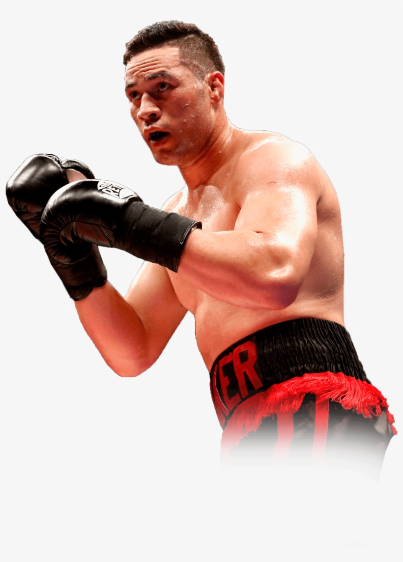 0 - Professional Boxing - 1725x2324 PNG Download - PNGkit