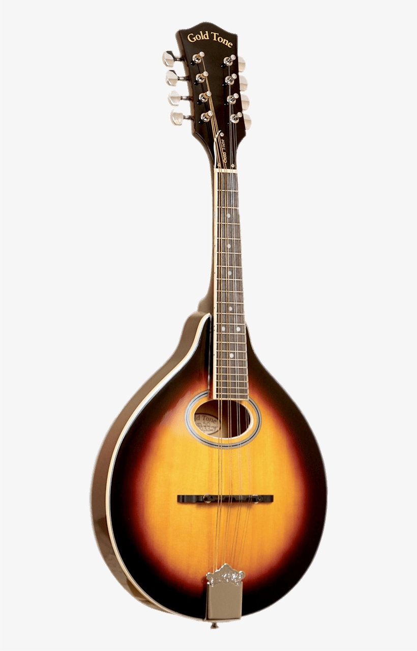 Download - Mandolin - 600x1200 PNG Download - PNGkit