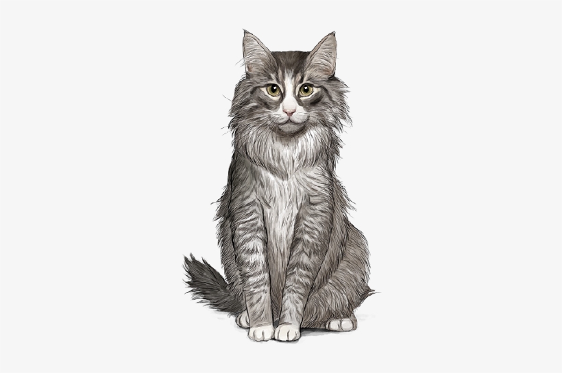 Fresko Gato Gosbi - Cat - 346x511 PNG Download - PNGkit