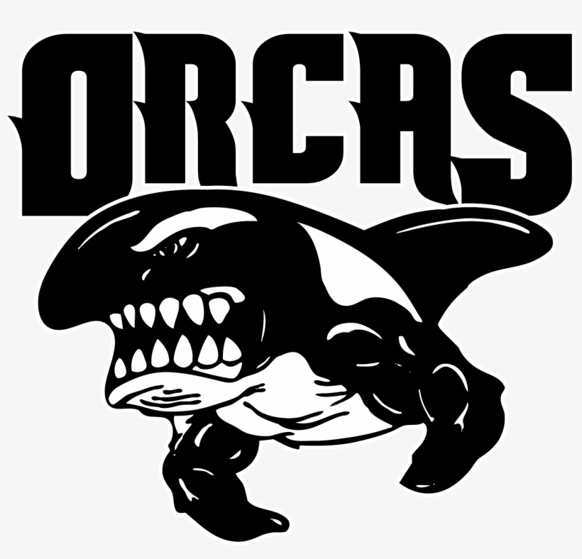 Mascot "orcas" Logo - Swimmer - 1508x1376 PNG Download - PNGkit
