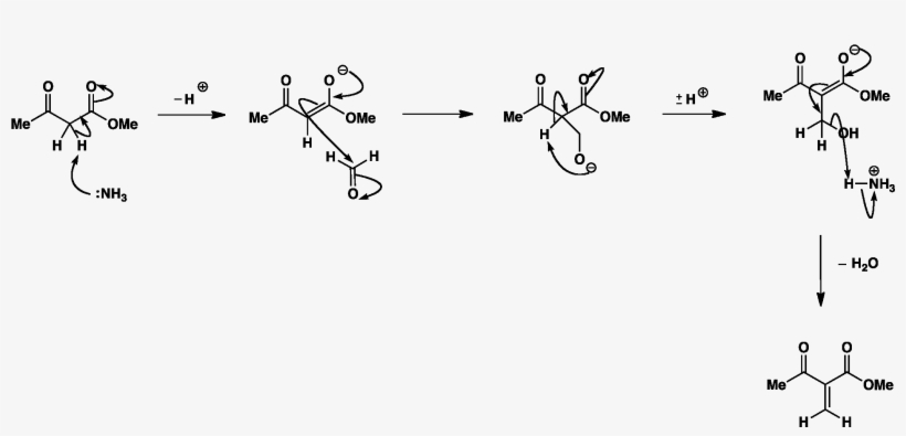 Sn2 - Hantzsch Pyridine Synthesis Mechanism - 2109x924 PNG Download ...