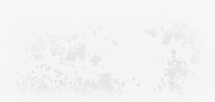 Mold - Mold Texture Png - 1577x683 PNG Download - PNGkit