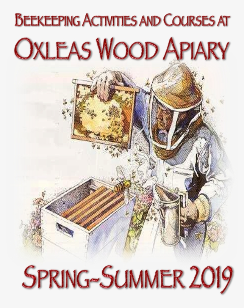 Download 2015 Brochure - Beekeeping - 885x1028 PNG Download - PNGkit