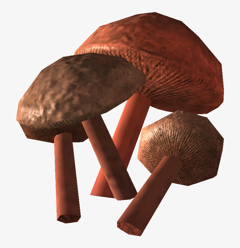 Cave Fungus - Fungi Transparent Background - 818x818 PNG Download - PNGkit