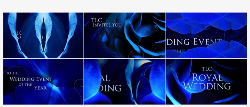 Tlc - Yellow Rose - 1000x500 PNG Download - PNGkit