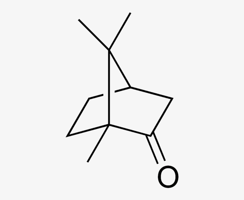 Camphor Structure - 389x599 PNG Download - PNGkit