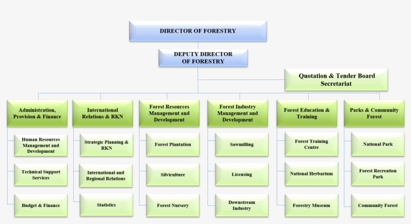 Organisational Structure - 1541x770 PNG Download - PNGkit