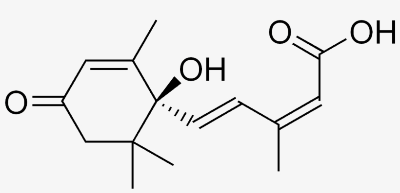 Abscisic Acid - Abscisic Acid Chemical Structure - 1194x535 PNG ...