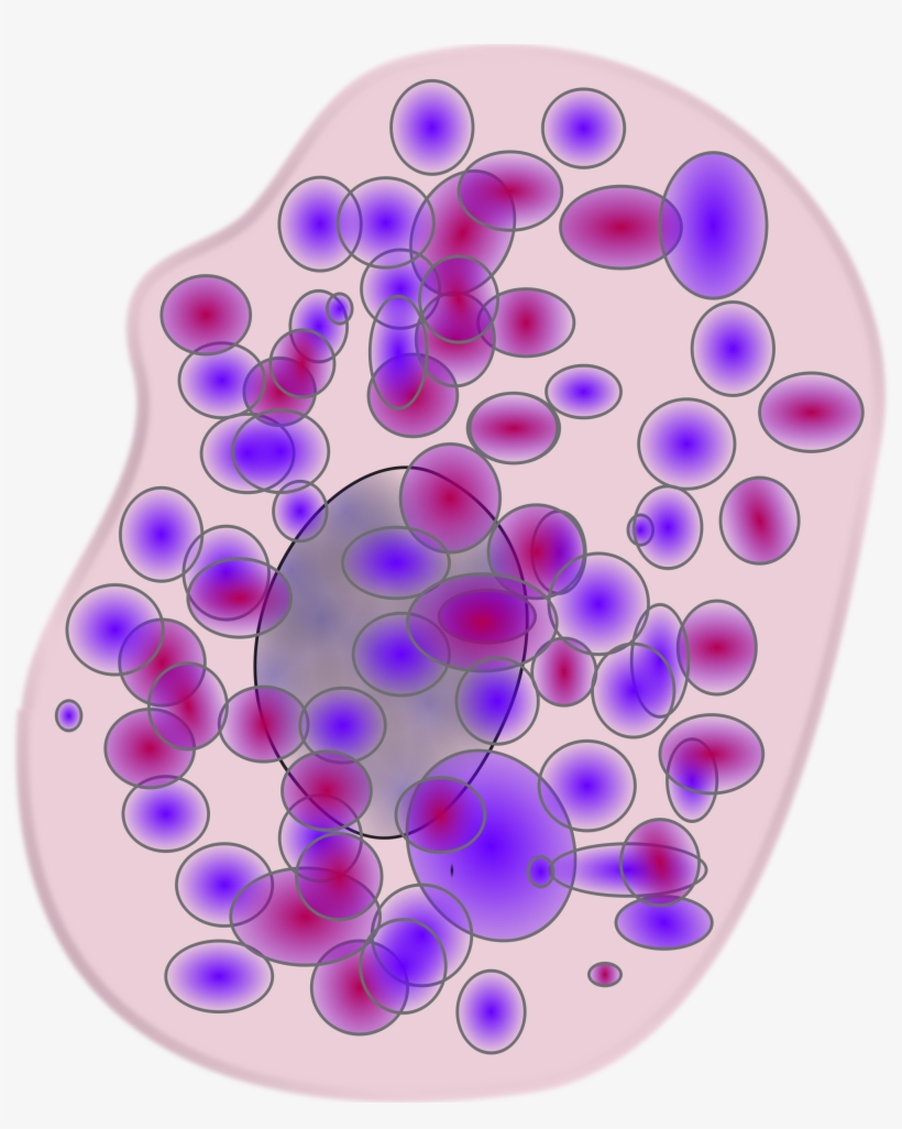 This Free Icons Png Design Of Mast-cell - 1994x2400 PNG Download - PNGkit