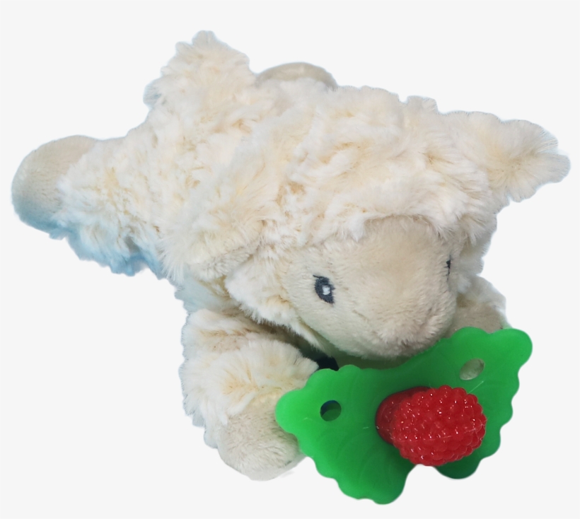 Razbuddy Paci Holder - Stuffed Toy - 2030x1655 PNG Download - PNGkit