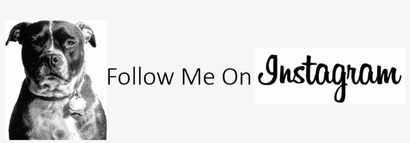 Follow Me Instagram Png - Instagram Power: Build Your Brand And Reach ...
