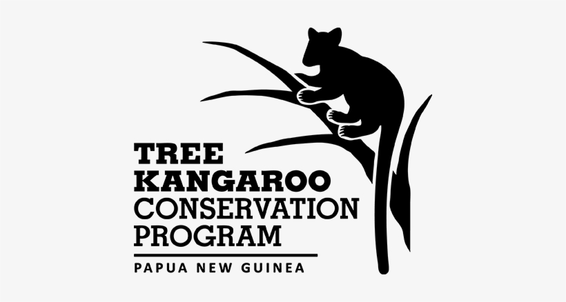 Tree Kangaroo Conservation Program - 432x358 PNG Download - PNGkit