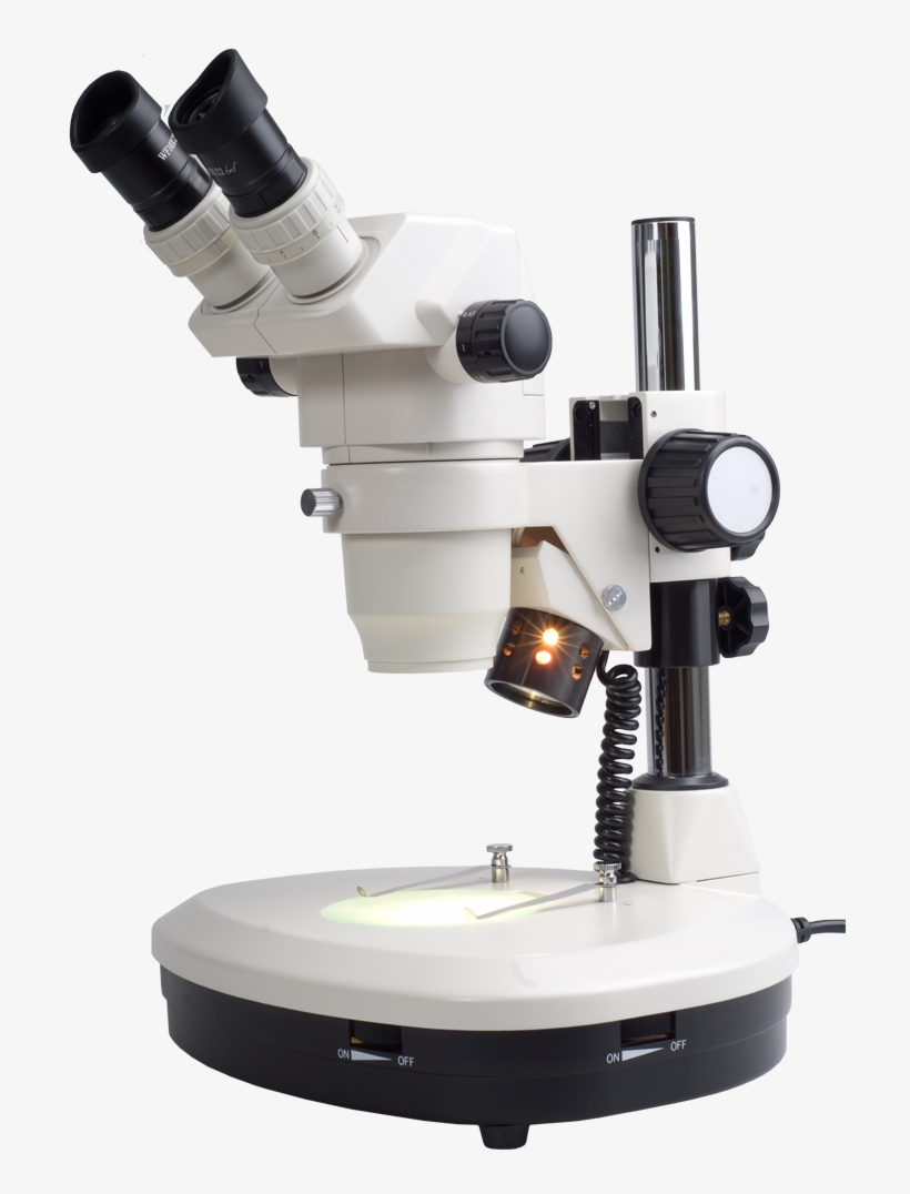Microscope - Stereo Microscope No Background - 1000x1000 PNG Download ...