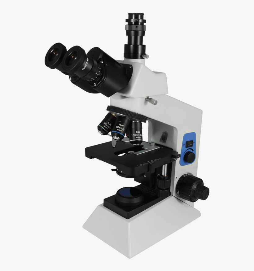 Microscope With No Background - 800x800 PNG Download - PNGkit