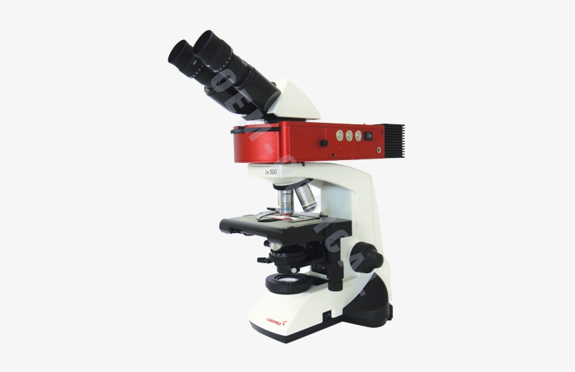 Labomed Fluorescence Microscope - 360x458 PNG Download - PNGkit