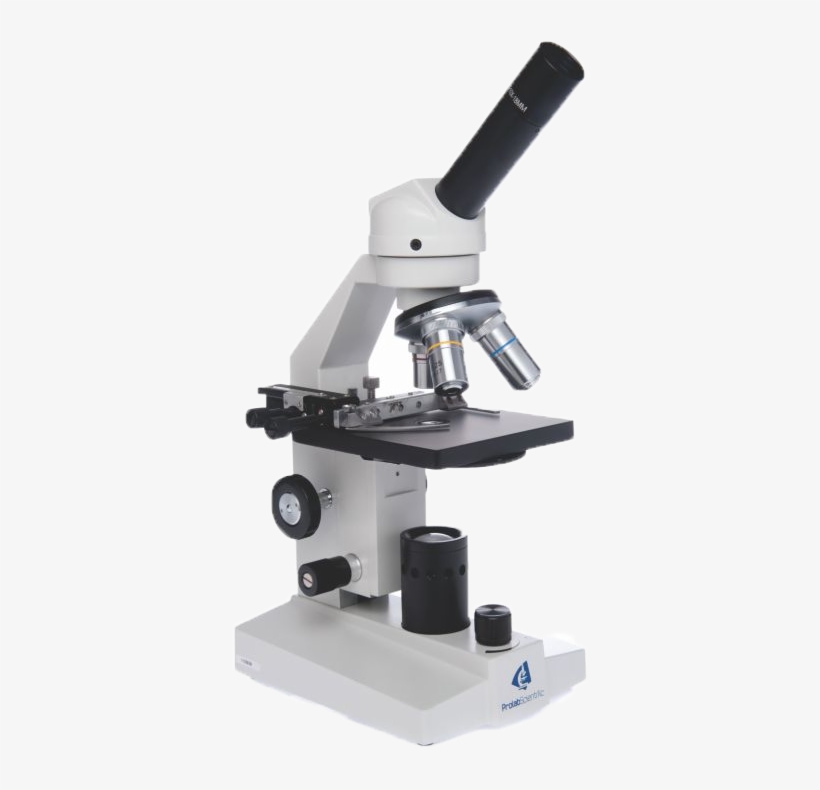 Microscope - 500x751 PNG Download - PNGkit
