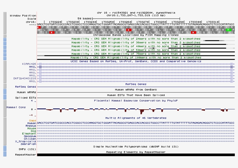 Download Transparent Hgt Genome 47a C9e3d0 - Genome - PNGkit
