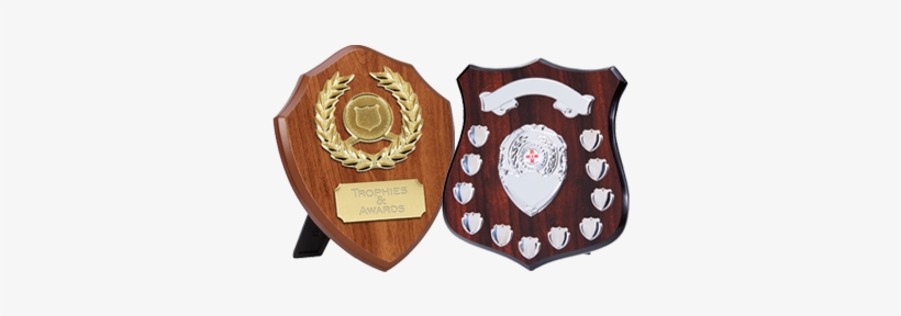 Trophy World Trophies Shields - Sports Trophy Shields - 500x302 PNG ...