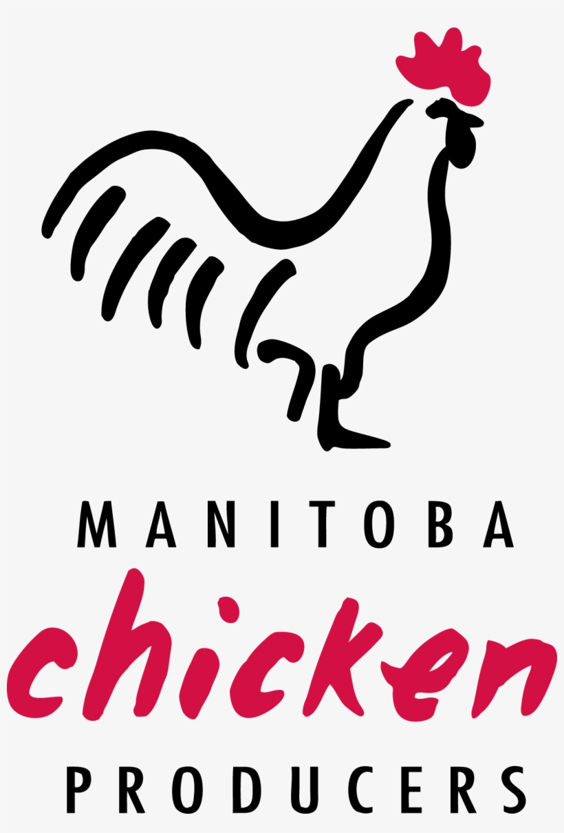Mb Chicken Png - Chicken - 1274x1819 PNG Download - PNGkit