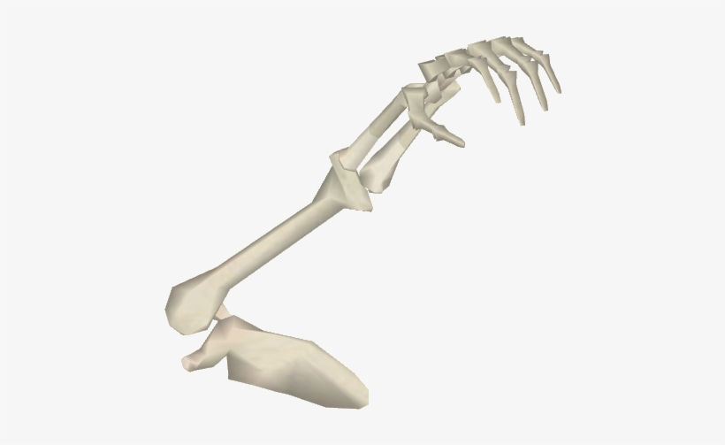 Bone Arm - Rifle - 449x449 PNG Download - PNGkit
