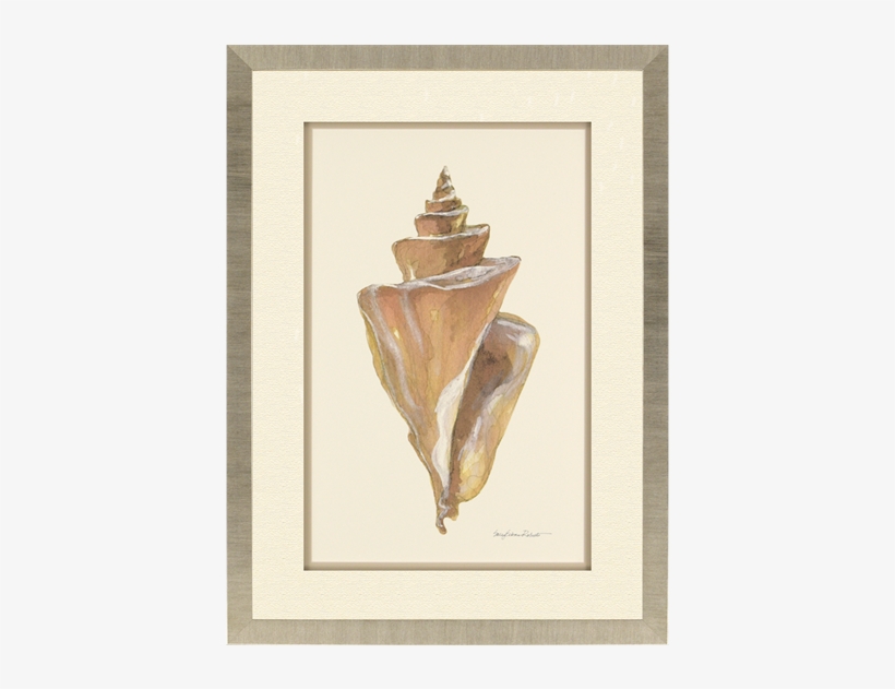 Seashell Sentiment I - Seashell Sentiment I Framed Art, 27"x37", Beige ...