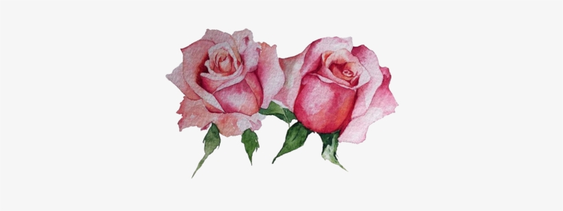 Download Transparent Two Roses In The Style Of Illustration, Rose, Pink ...