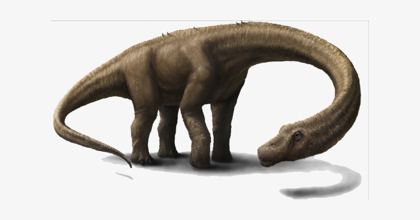 Download Transparent Dinosaur Png Hd - Dinosaur Dreadnoughtus - PNGkit