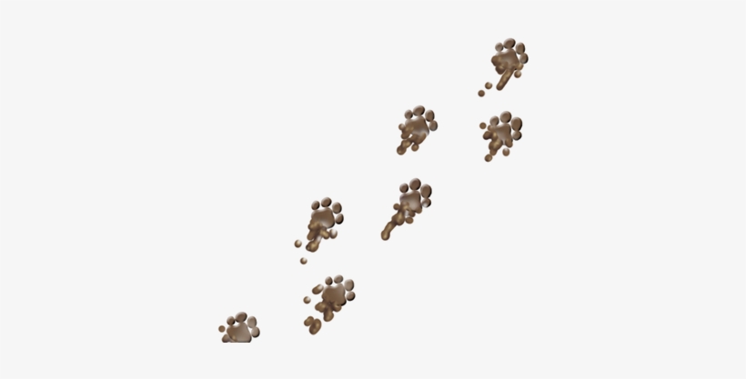 Muddy Dog Paw Prints - 374x340 PNG Download - PNGkit