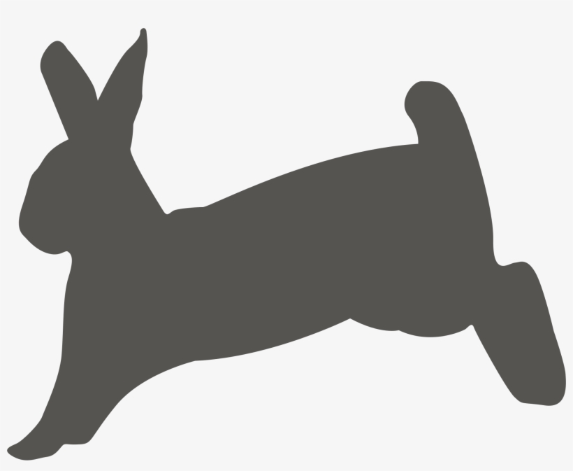 This Free Icons Png Design Of Bunny Hopping - 1952x1509 PNG Download ...