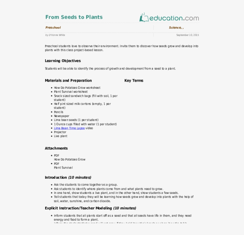 From Seeds To Plants - Experiment Using The Scientific Method For Grade ...