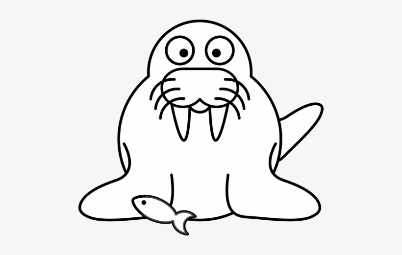 Walrus,fish,sea - Cartoon Walrus - 500x441 PNG Download - PNGkit