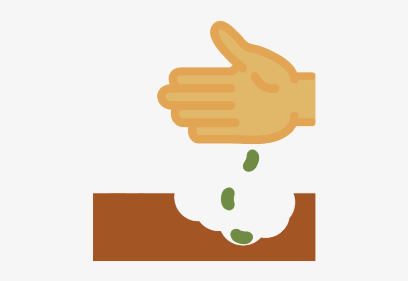 Seed Dropped - Illustration - 447x500 PNG Download - PNGkit