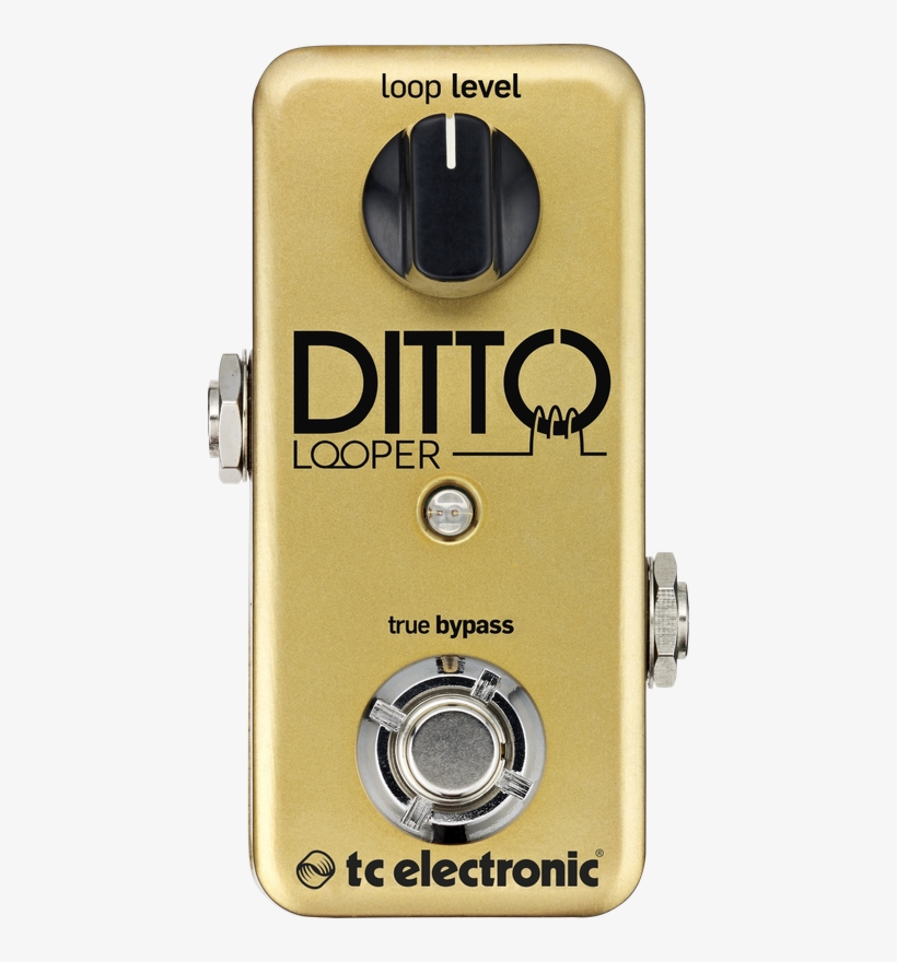 Ditto Looper Gold - Tc Electronic Ditto Looper Gold Limited Edition ...