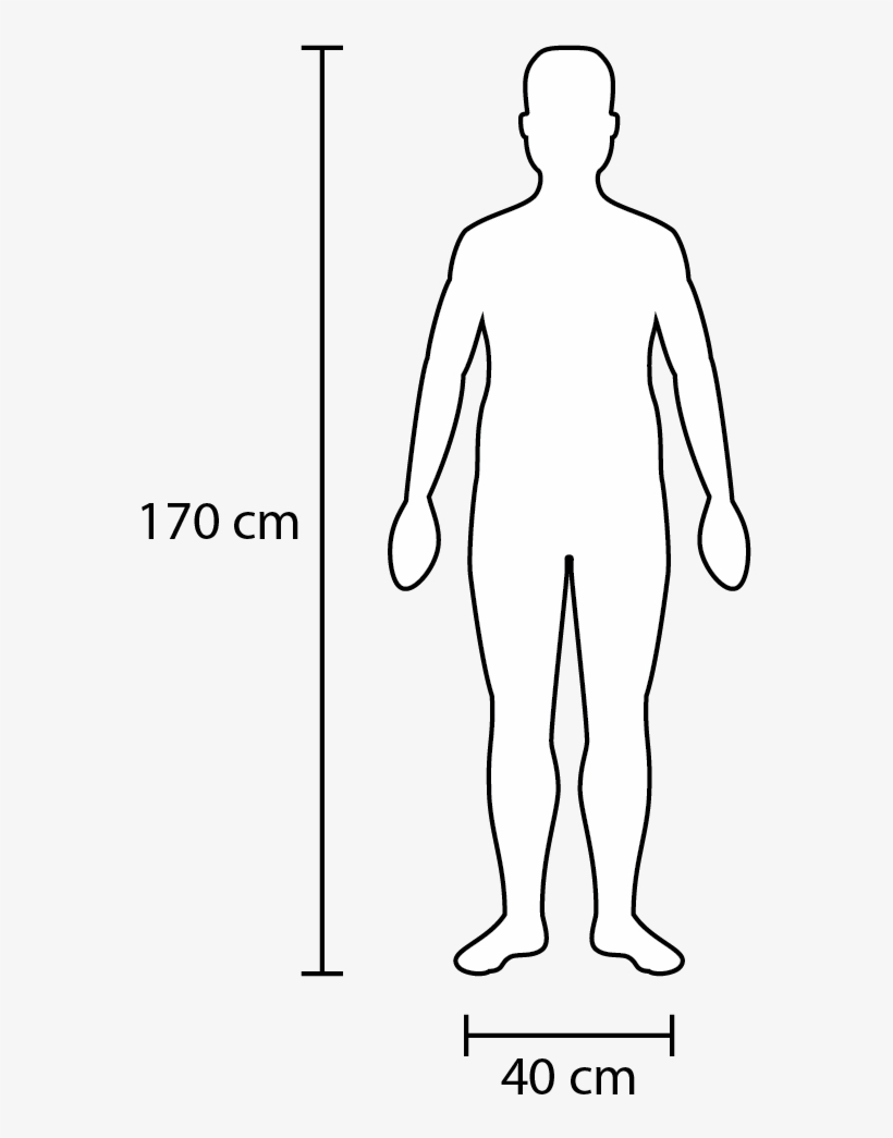 Scale Figures Png Banner Library Download - Human Scale Icon - 643x1039 ...