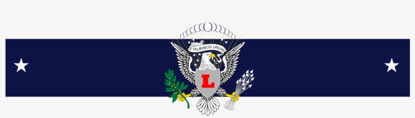 Silver Legion Of America Symbol - 1000x300 PNG Download - PNGkit