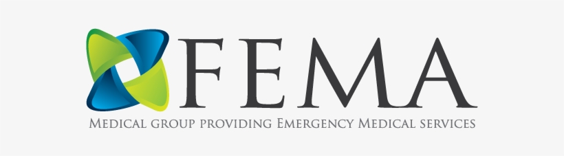 It Company Logo Design For Fema In United States - Stoneleigh Park ...