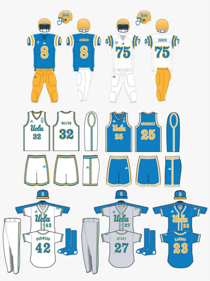 Ucla - 1125x1453 PNG Download - PNGkit