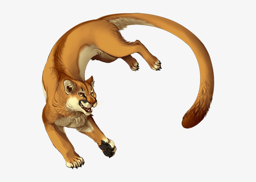 Item Puma - Cat Jumps - 600x600 PNG Download - PNGkit