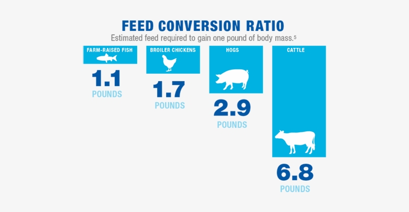 Gaa Food Supply Infographic Feed Conversion Ratio - Feed Conversion ...
