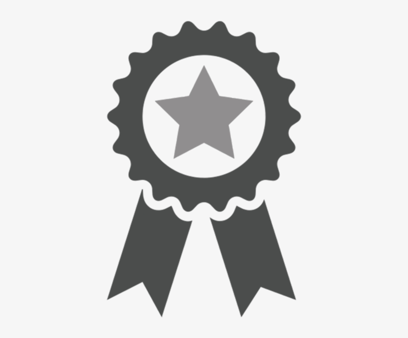 Download Transparent Quality - Online Reputation Icon Png - PNGkit