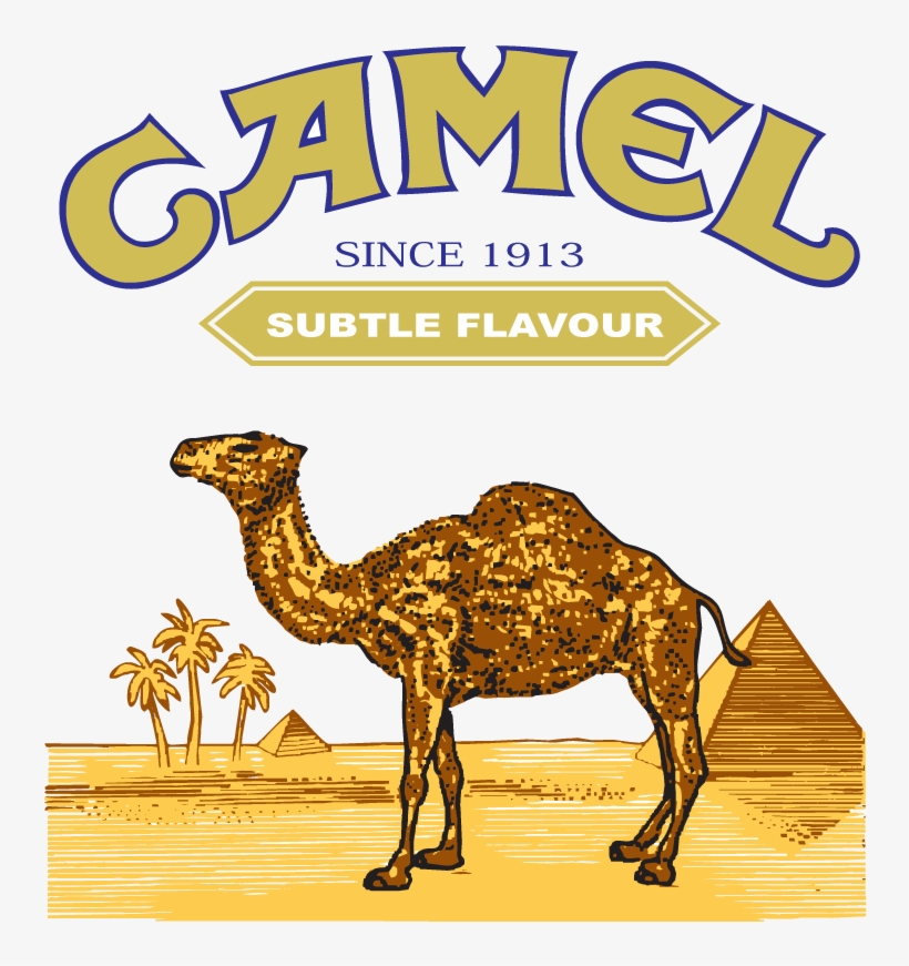 Camel Logo - 755x800 PNG Download - PNGkit