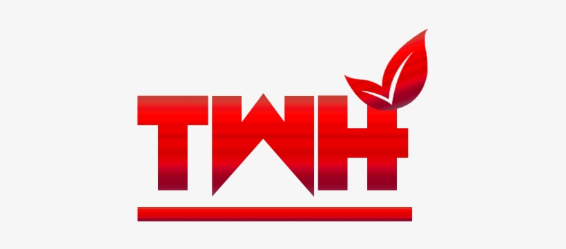 Hum Aapko Free Me Logo Bhi Bana Nke De Denge - Twh Logo - 440x290 PNG ...