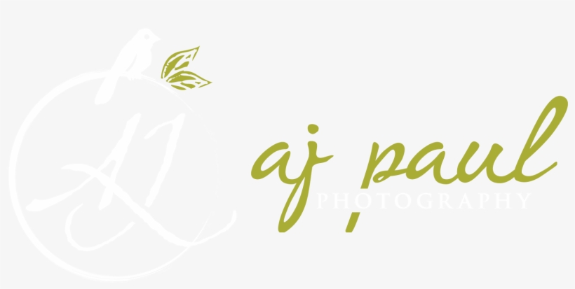 Download Transparent Aj Photography Logo Hd - PNGkit