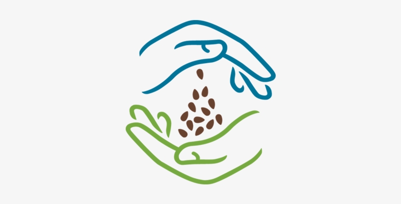Branding & Logo Design For Non Profits & Social Enterprises - Seed ...